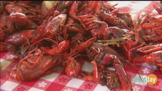 Big Crawfish Bash | khou.com